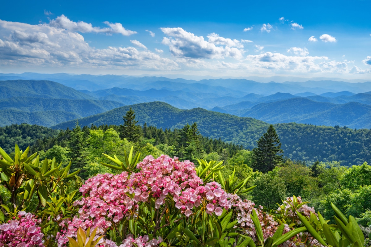 9 Fantastic Things To Do In North Carolina This Spring