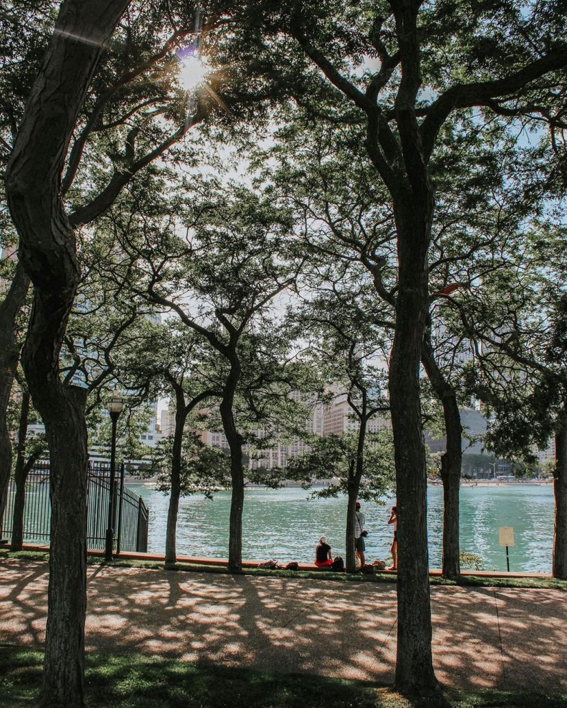 20 Top Chicago Instagram Accounts [2019 Guide]