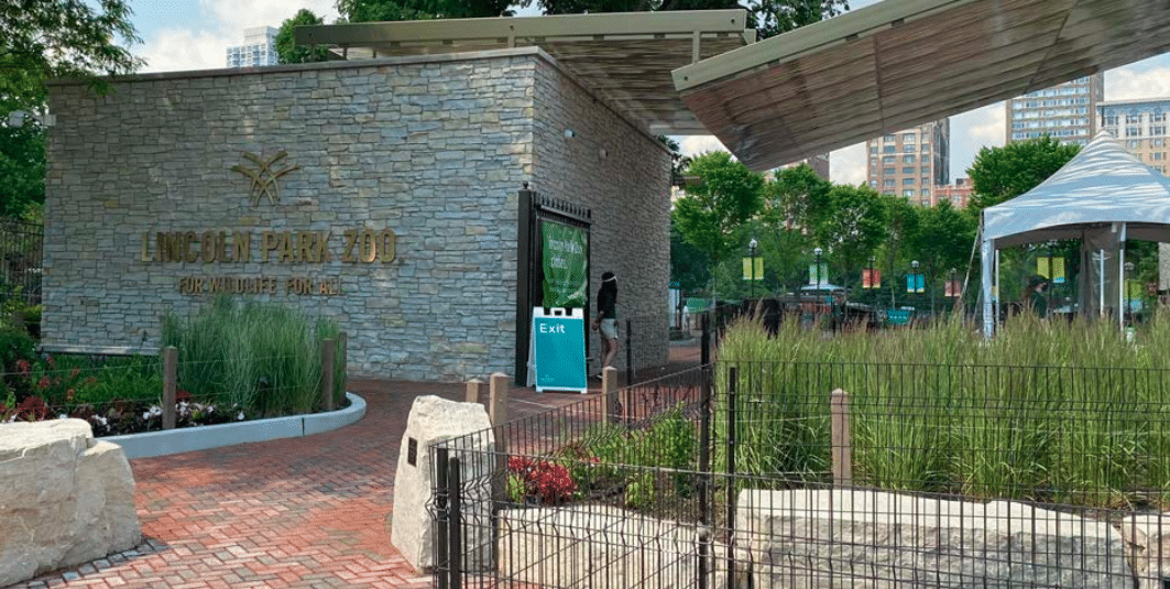 The Lincoln Park Zoo Has Officially Reopened To The Public