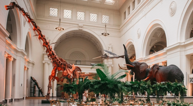 The Definitive Guide To Chicago's Newly Reopened Museums