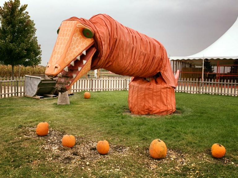 The Best Chicago Pumpkin Patches To Head To This Fall