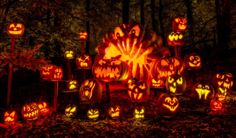 Fall Activities in Chicago: The Best Things To Do This Fall