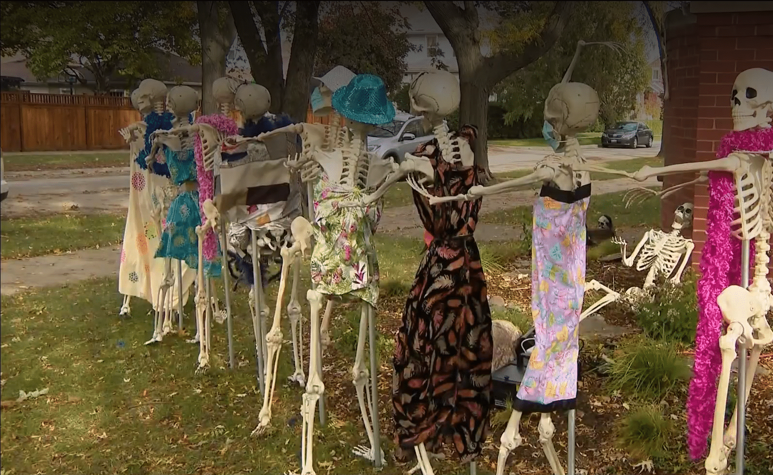 Skeleton Conga Line Taking Neighborhood By Storm