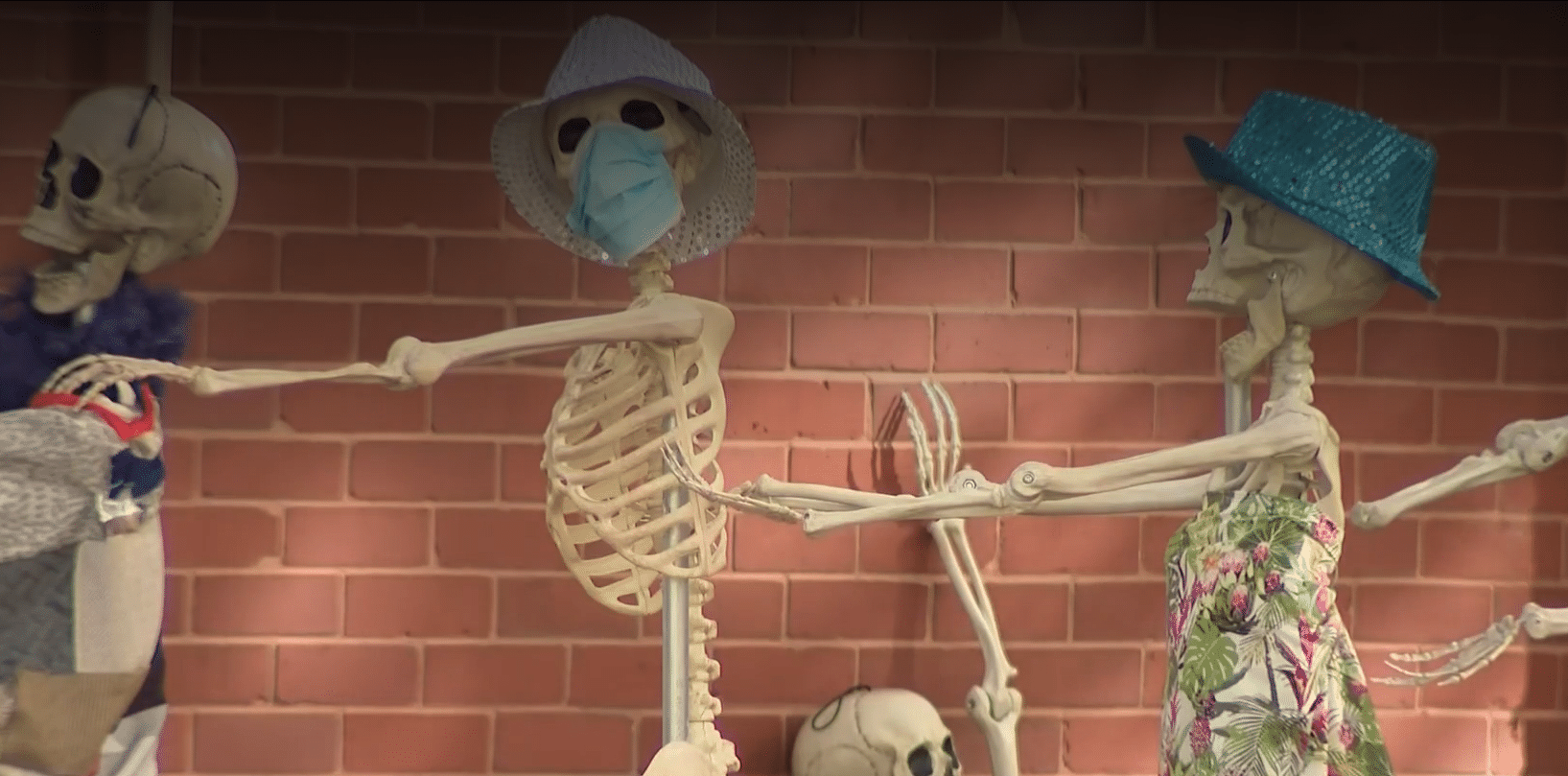 Skeleton Conga Line Taking Neighborhood By Storm