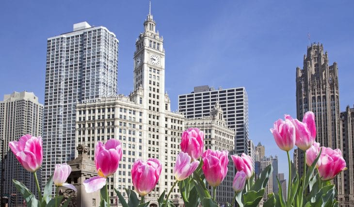 Secret Chicago • Your Complete Guide To Things To Do In Chicago