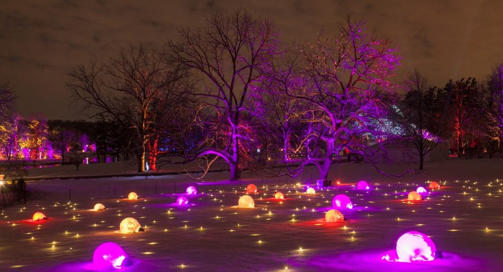 Morton Arboretum’s Magical “Illumination: Tree Lights” Walking ...