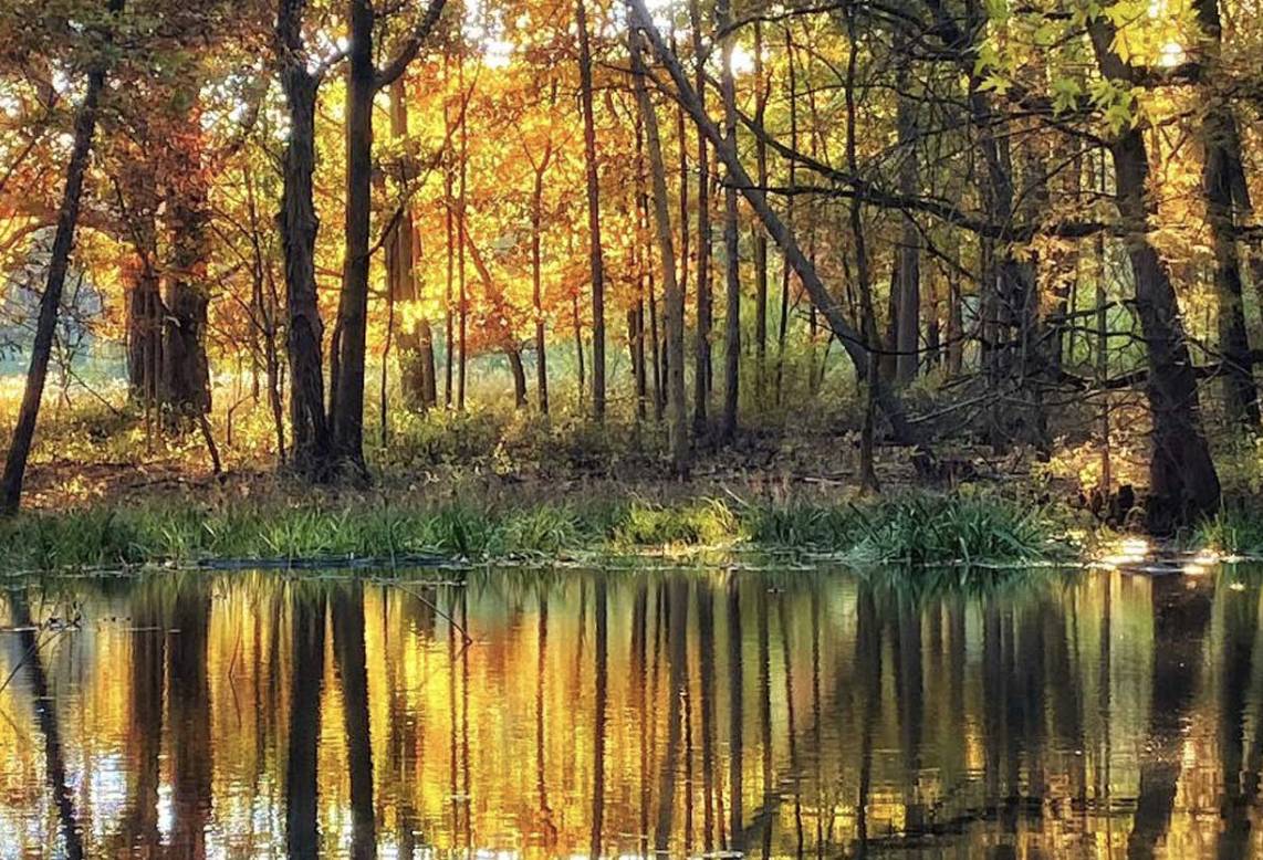 The Best Places To See Fall Colors In and Around Chicago
