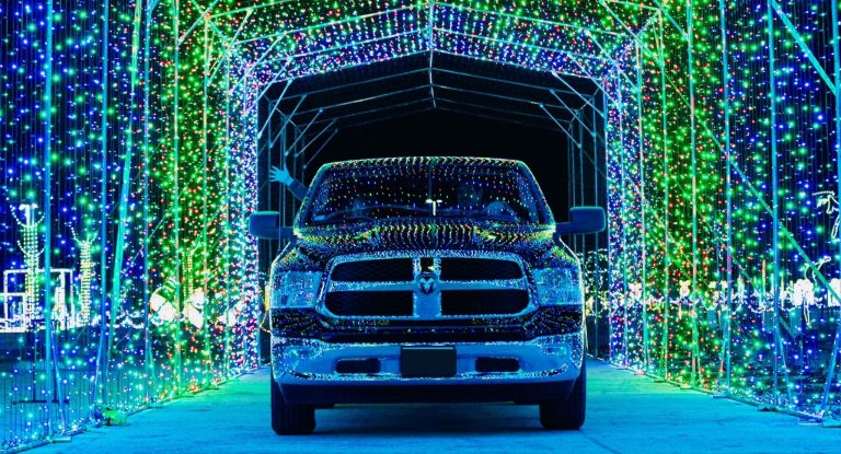 All You Need To Know About Chicago's Winter Light Show Experiences ...