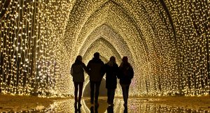 40 Fantastic Things To Do In Chicago In November