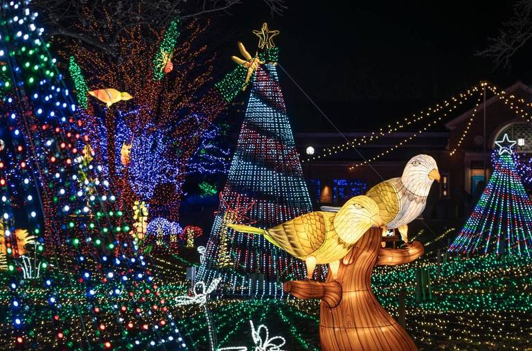 The Top Christmas Light Shows To See In Chicago Right Now