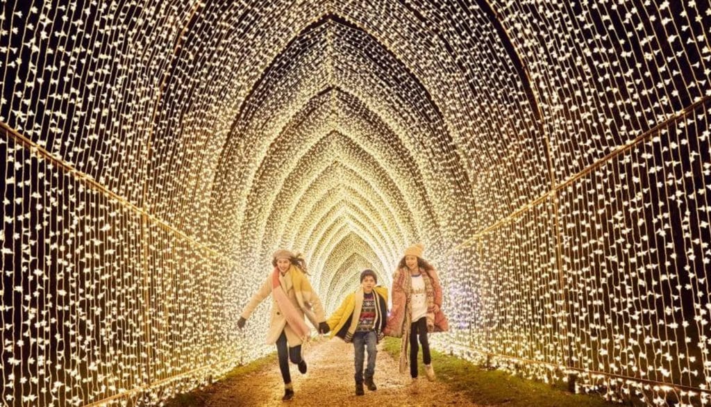 All You Need To Know About Chicagoland's Upcoming Winter Light Show ...