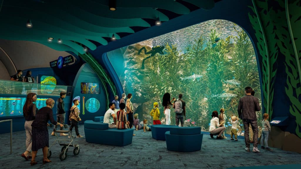 Shedd Aquarium Will Undergo A $500 Million Renovation Project
