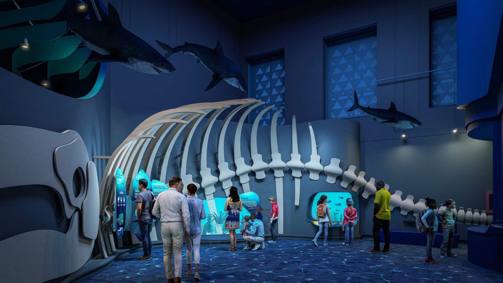 Shedd Aquarium Will Undergo A $500 Million Renovation Project