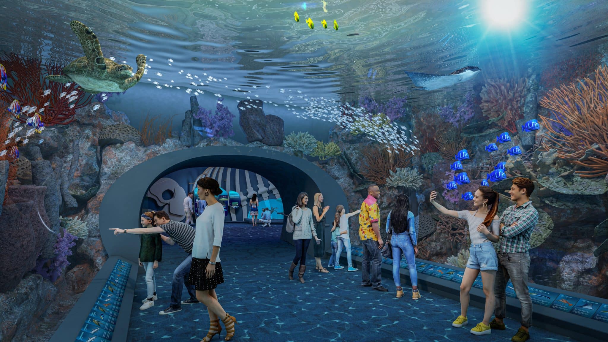 Shedd Aquarium Will Undergo A $500 Million Renovation Project
