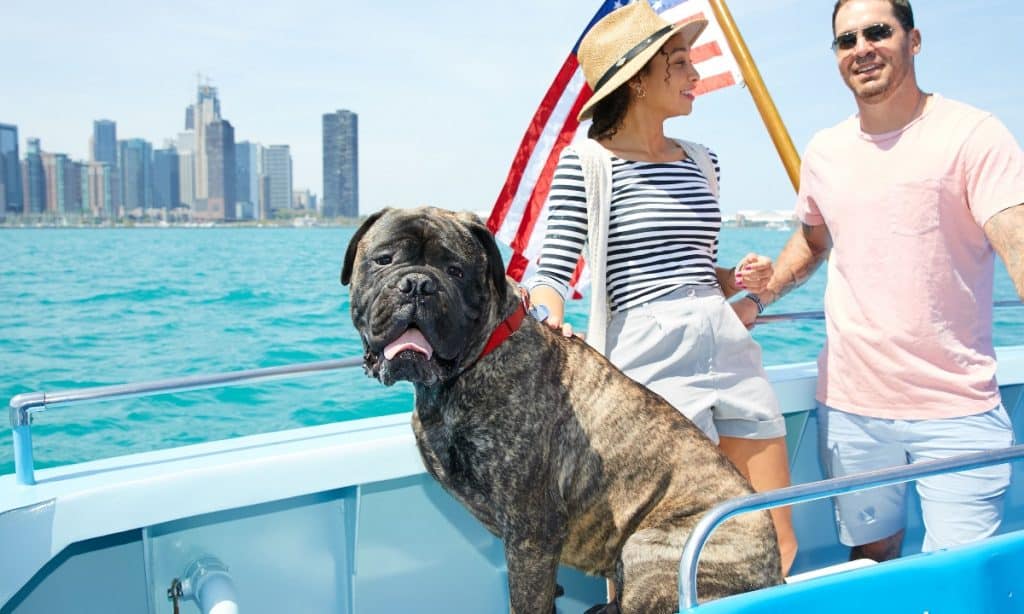 Mercury's Iconic Canine Cruise Is Back This Weekend