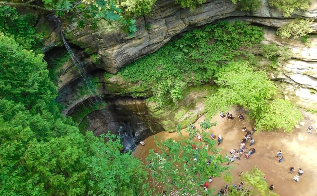 These Cute Cabins With Floor-To-Ceiling Windows Are Coming To Starved ...