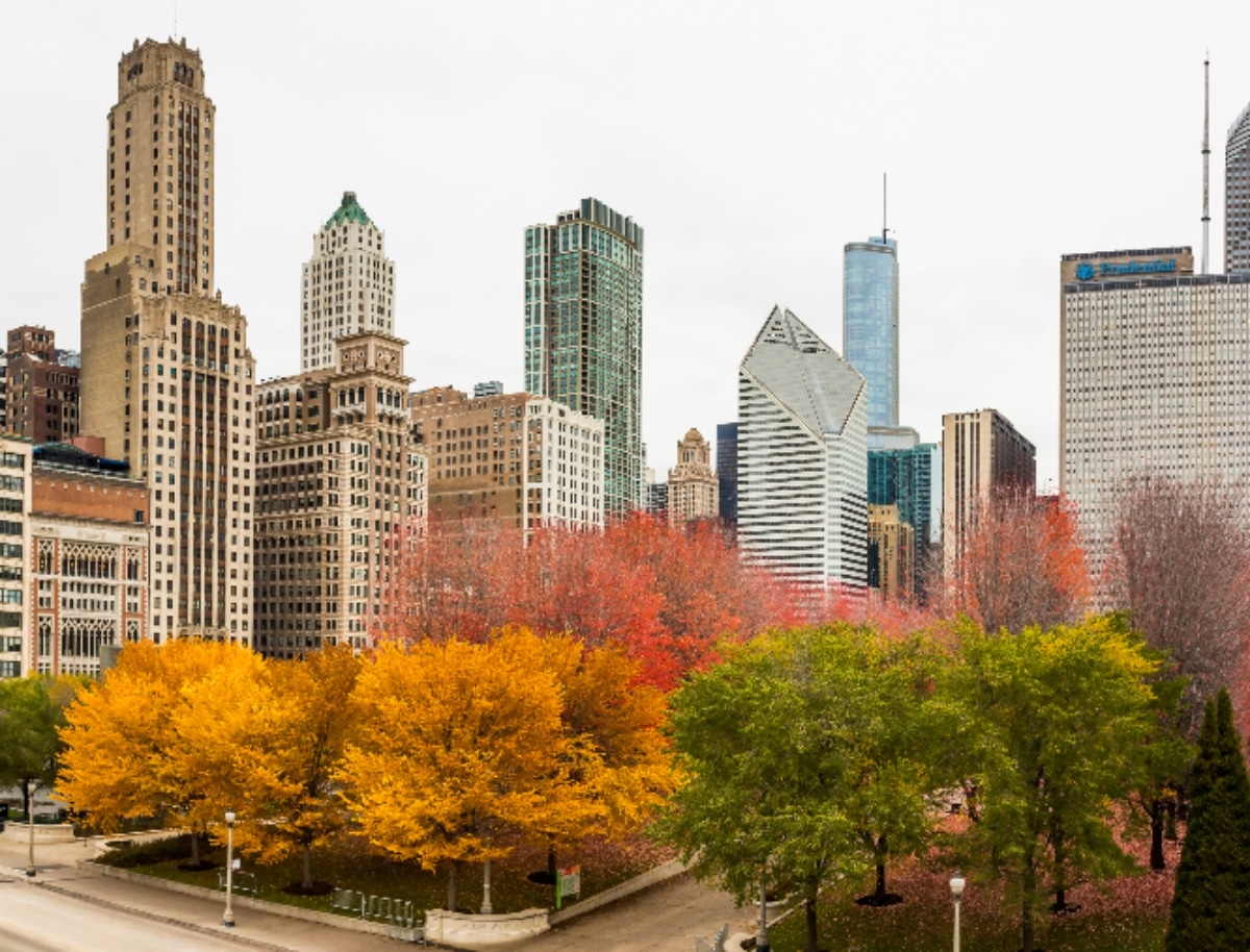 Here's How To Track Where and When Fall Foliage Will Peak In Chicago