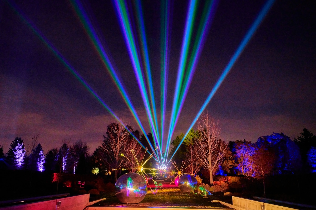 Morton Arboretum's ‘Illumination Tree Lights' Has Been Named The Best ...