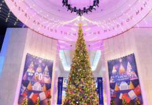 5 Majestic Chicago Christmas Trees To See This Season 2025