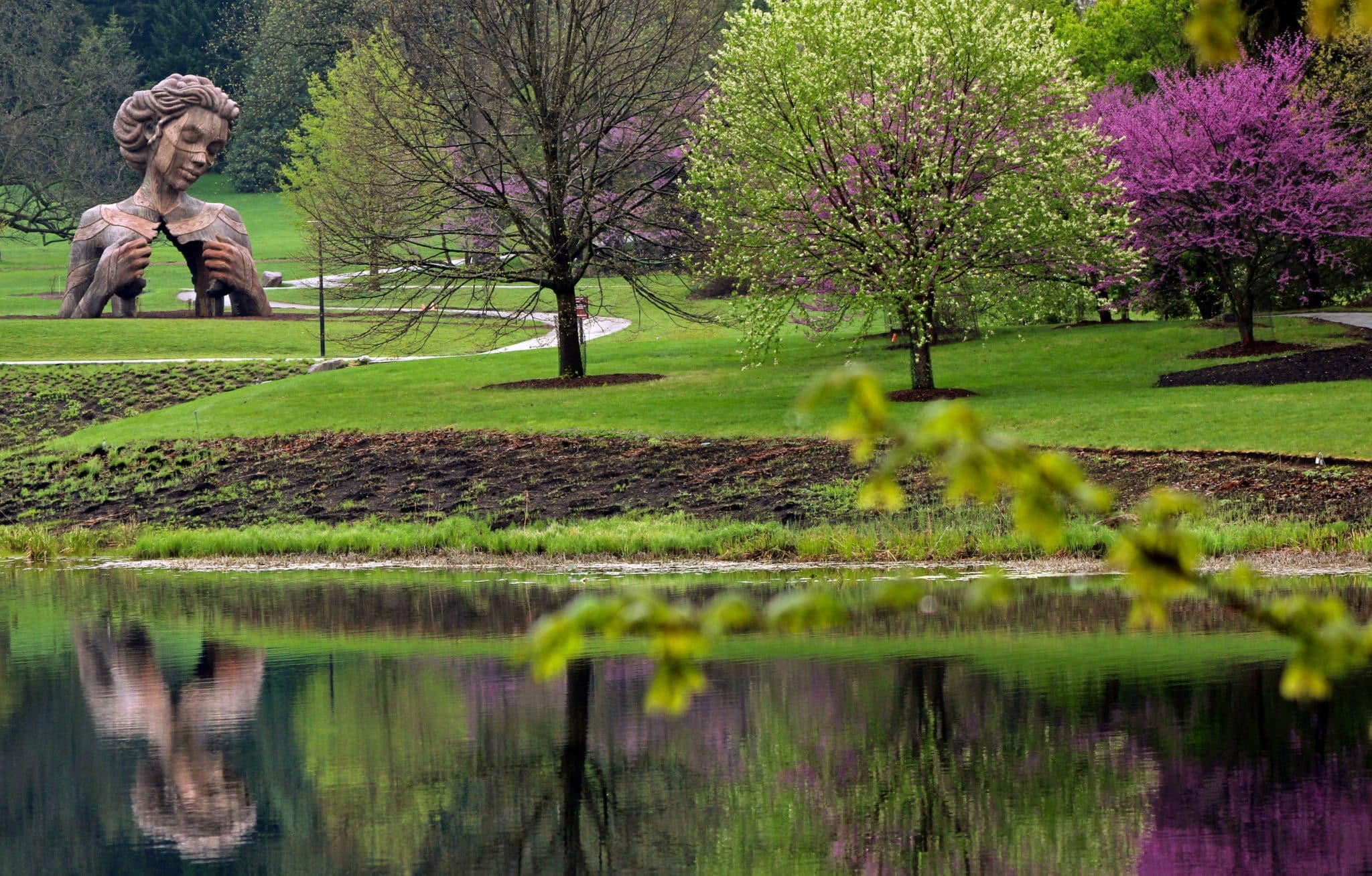 The Best Spots To See Cherry Blossoms In Chicago 2025