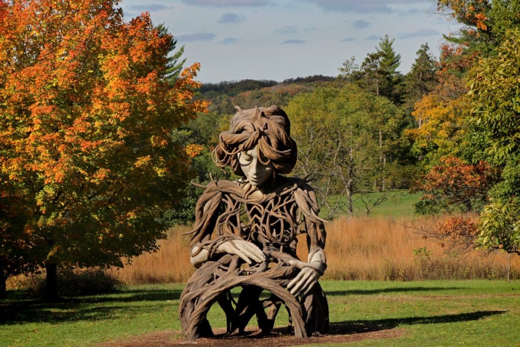 Morton Arboretum's Human + Nature Exhibition Ends Next Week