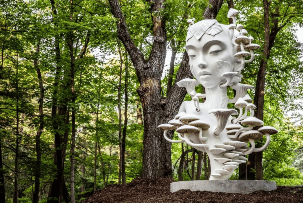 Morton Arboretum's Human + Nature Exhibition Ends Next Week