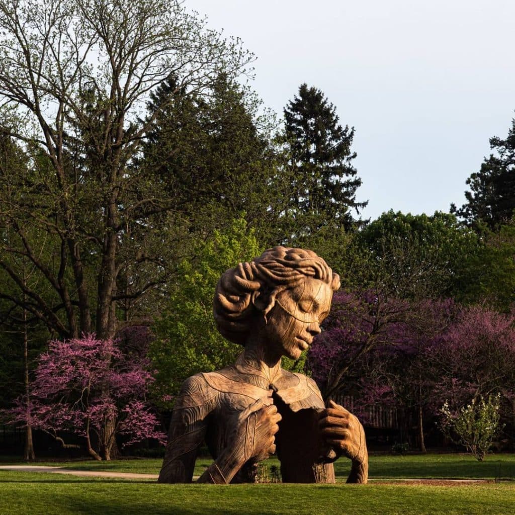 Morton Arboretum's Human + Nature Exhibition Ends Next Week