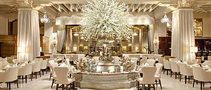 The Best Spots For Afternoon Tea Services in Chicago