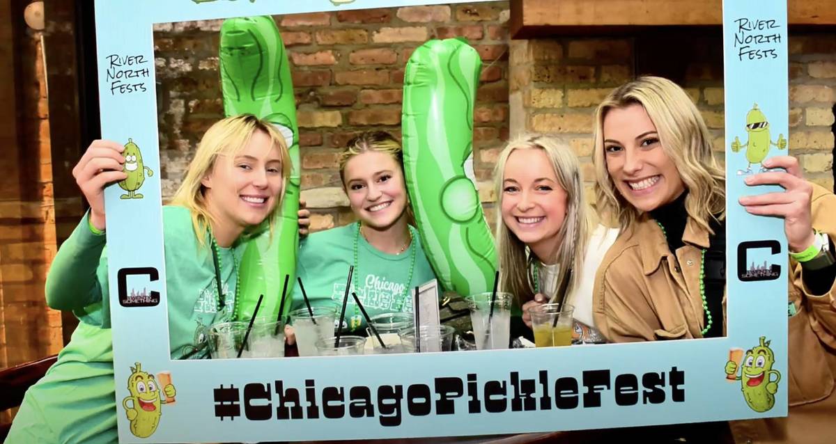 The Chicago Festival 2024 Guide