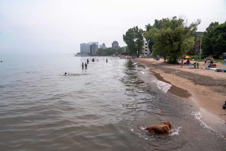 The 10 Best Chicago Beaches