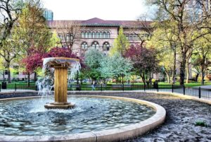 These Are The Best Parks In Chicago