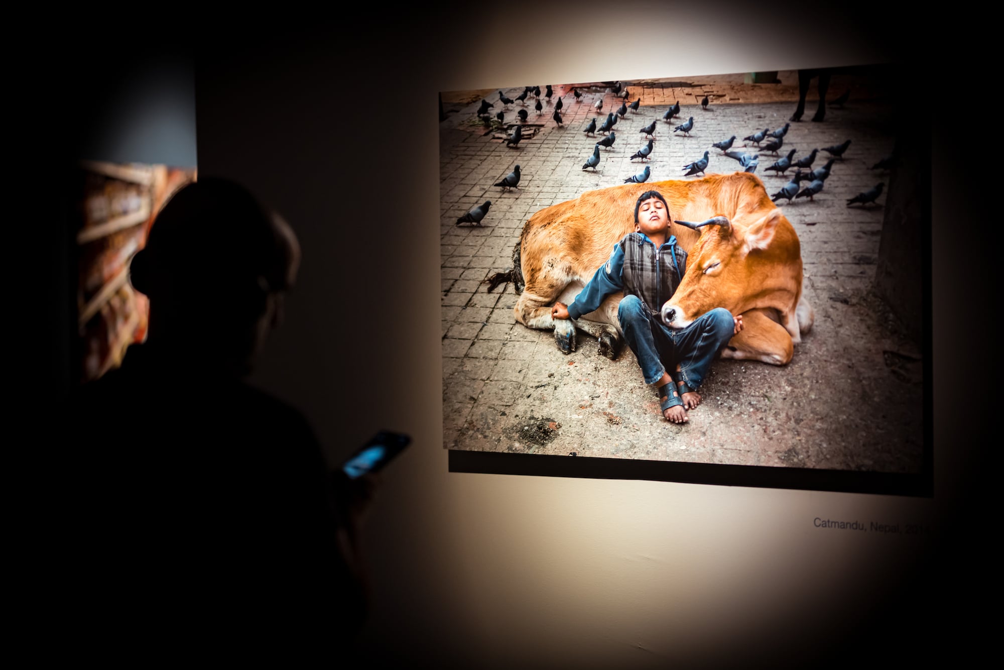 The Steve McCurry ICONS Exhibition Is Now Open In Chicago