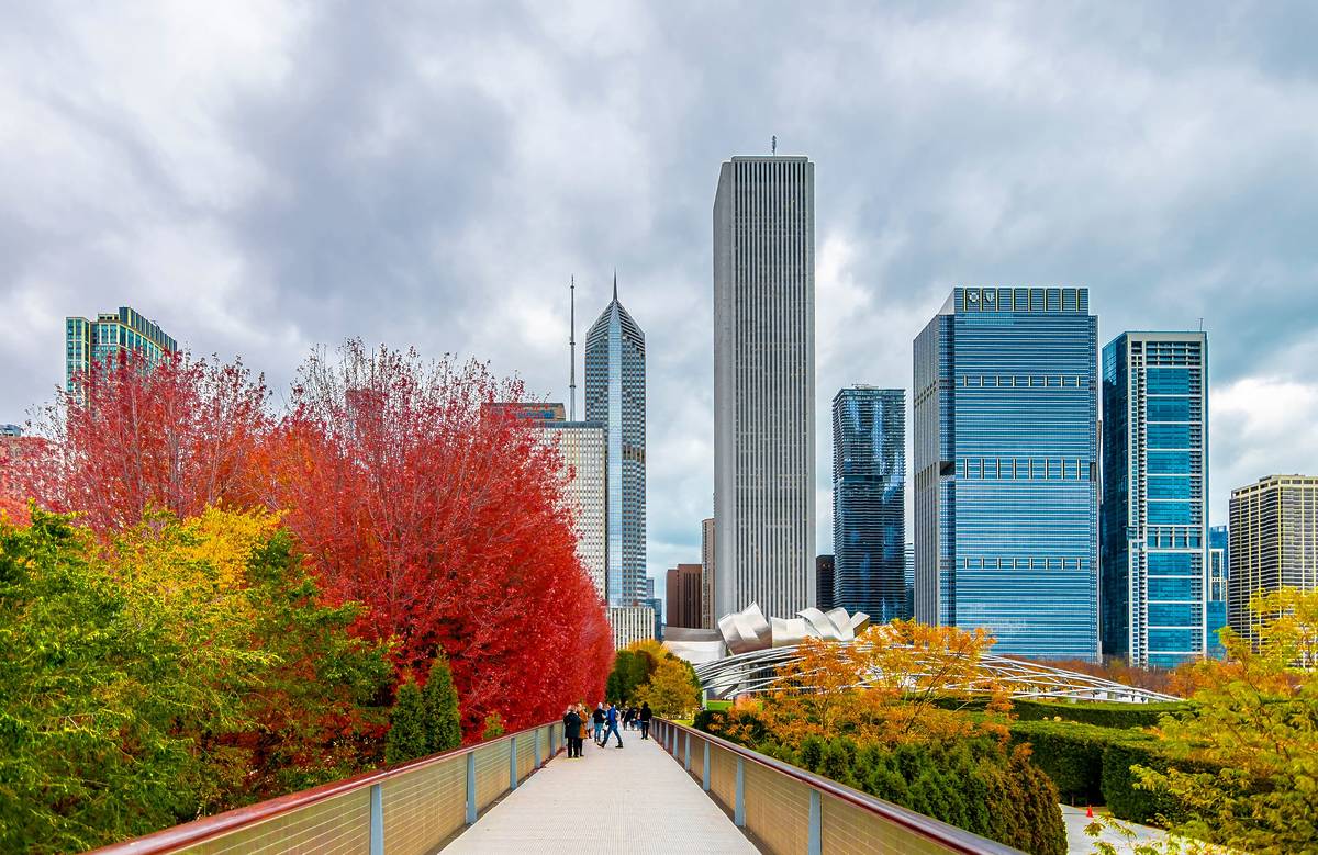 Fall Activities in Chicago: The Best Things To Do This Fall