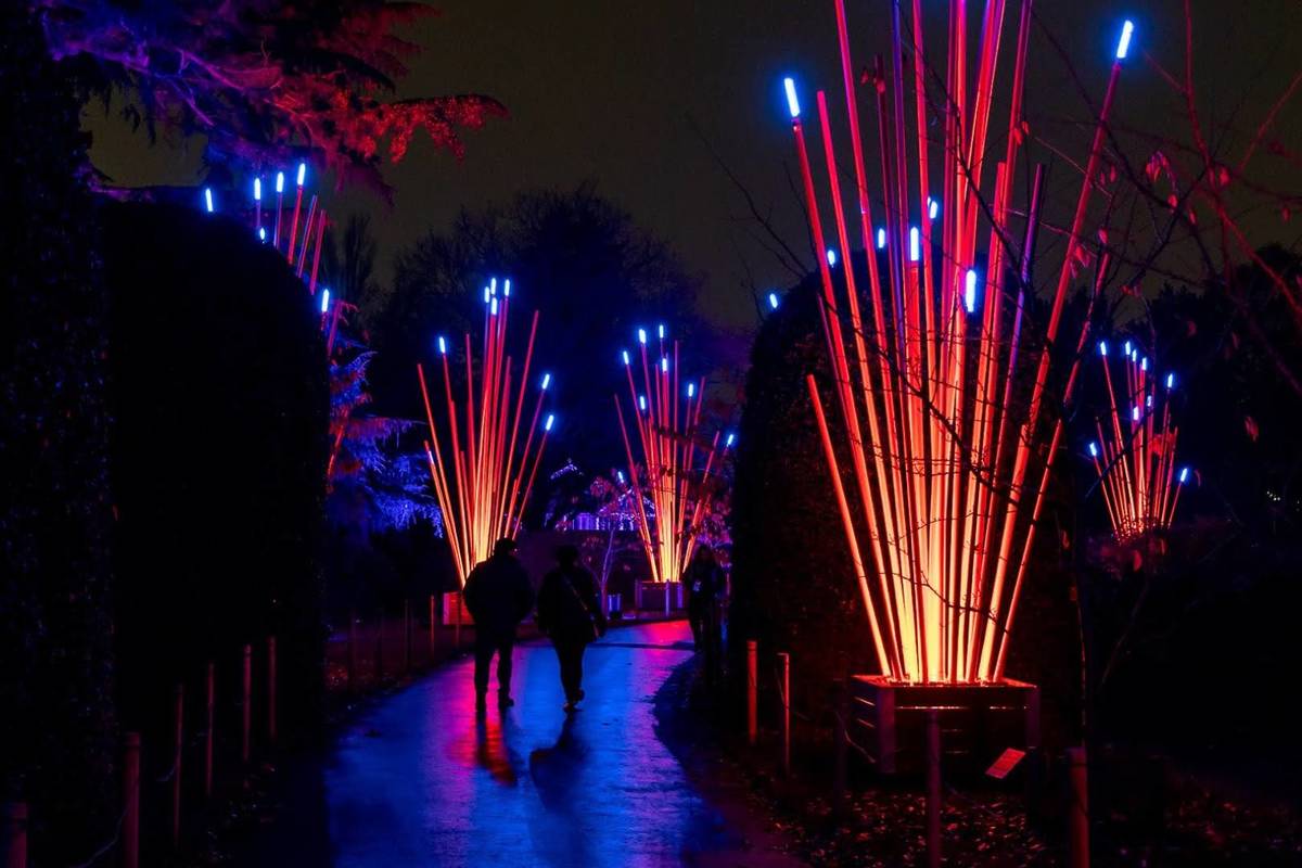 Lightscape Returns To The Chicago Botanic Garden