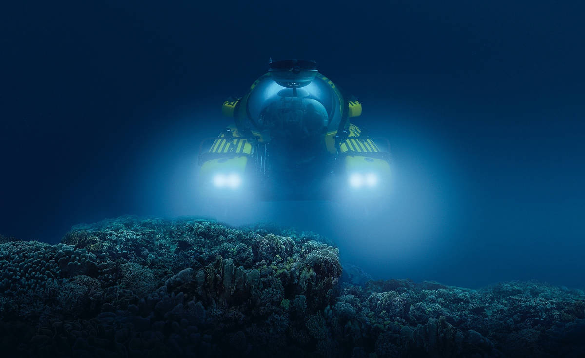 Dive Deep At Field Museum's New 'Unseen Oceans' Exhibition