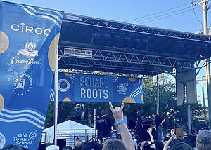 Here Are The Best Chicago Music Festivals This Summer