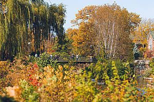 Fall Activities in Chicago: The Best Things To Do This Fall