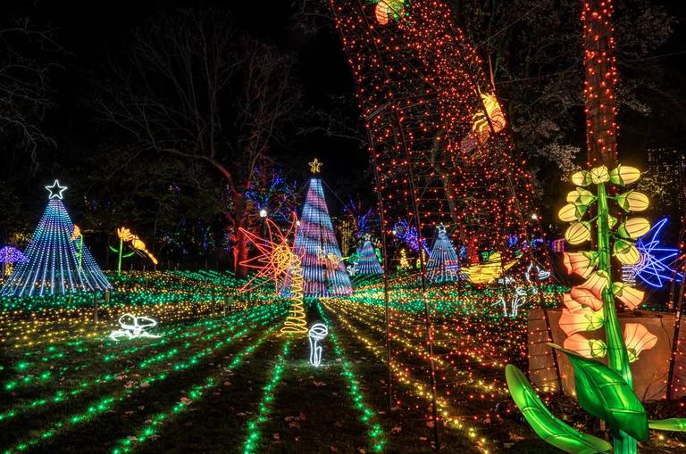 30+ Best Things To Do In Chicago In November 2025