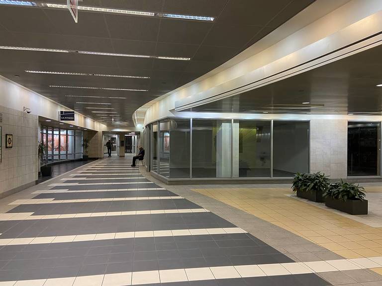 The Ultimate Guide to Chicago's Pedway