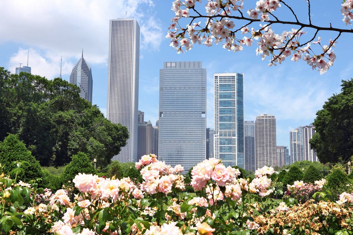 10+ Amazing Things To Do In Chicago This Weekend