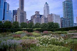 A Bucket List Of The Best Things To Do In Chicago In Spring