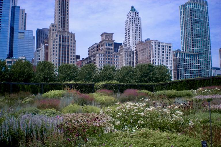 A Bucket List Of The Best Things To Do In Chicago In Spring
