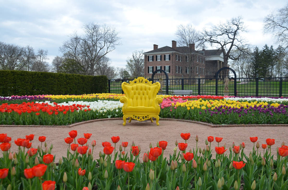The Best Flower Fields Near Chicago That Are A Drive Away