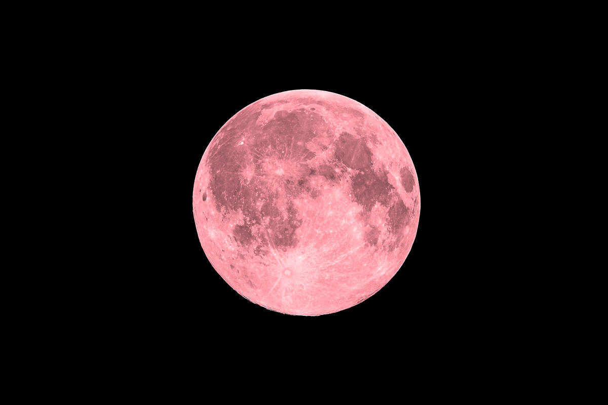 A Rare Pink Moon Will Light Up the Sky in Chicago This Weekend—and It’s ...