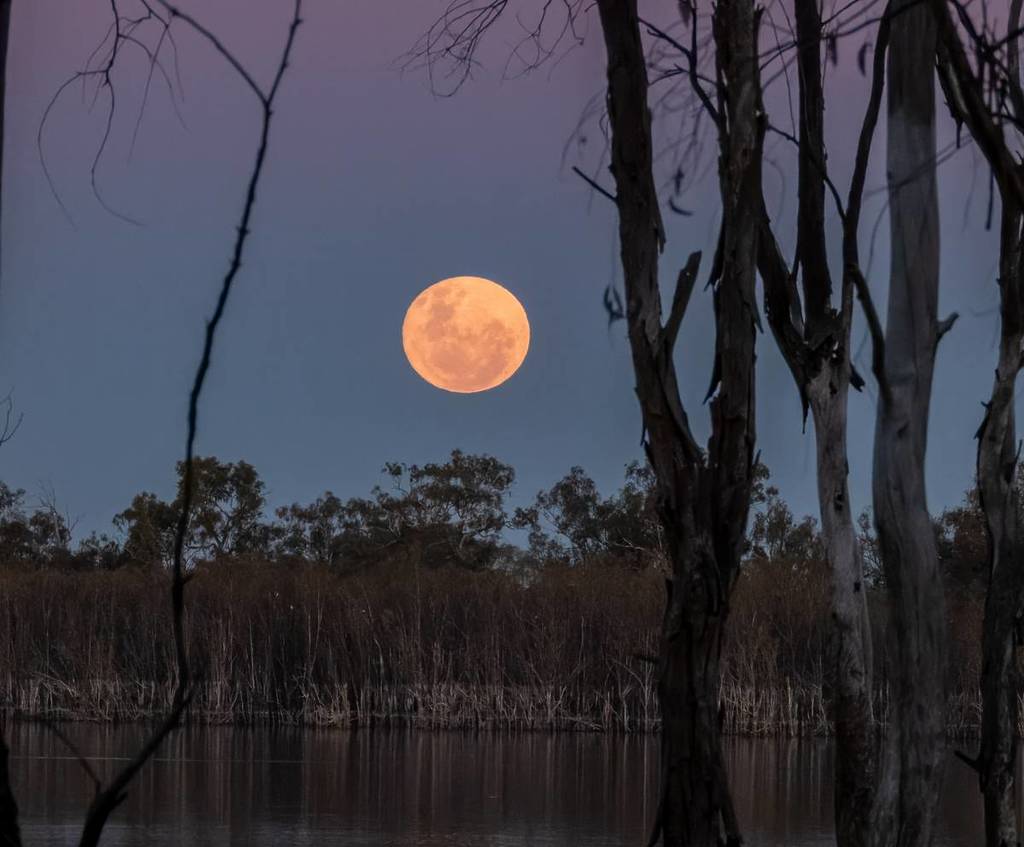 Where to see the 2026 Total Lunar Eclipse in Chicago