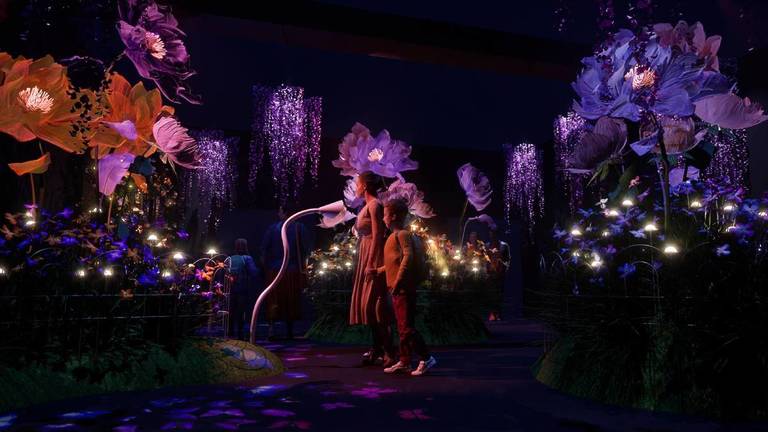 Explore Crystal Caves And Star Systems At This Magical New Attraction ...