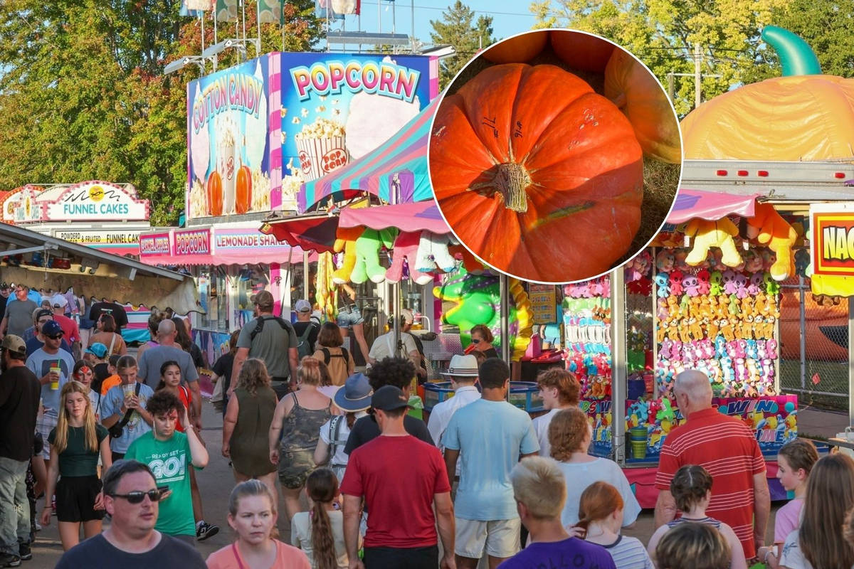 The Biggest Pumpkin Festival in Illinois is Happening Next Month