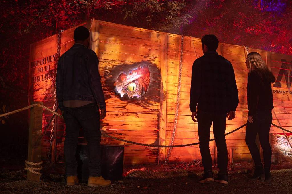 Everything to Expect at the Harry Potter Forbidden Forest Experience ...