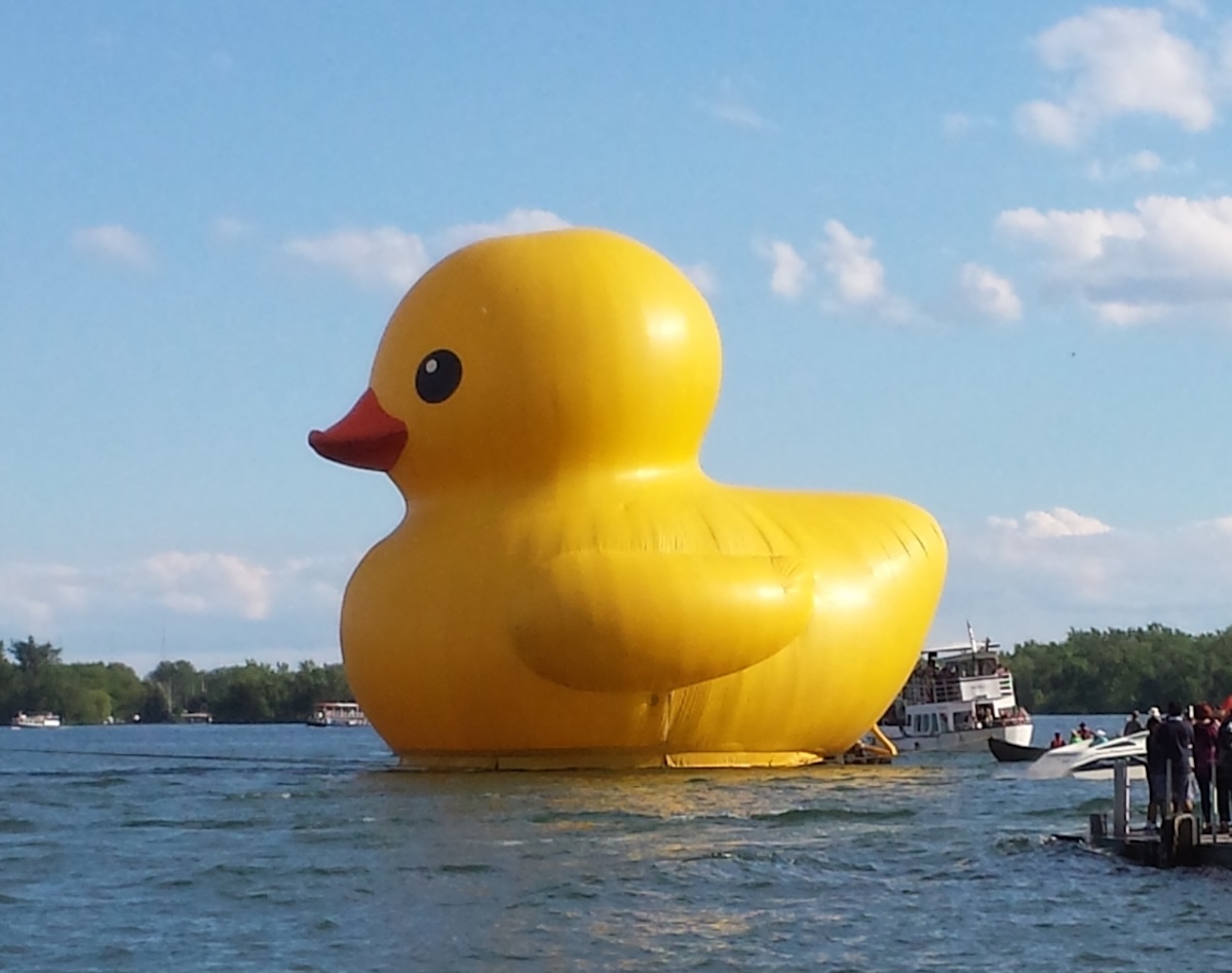 See the World's Largest Rubber Duck at This Chicagoland Festival