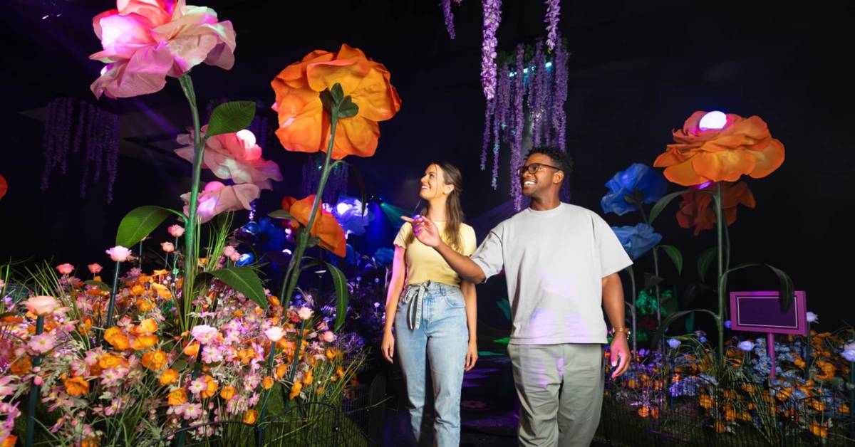 Explore Crystal Caves And Star Systems At This Magical New Attraction ...